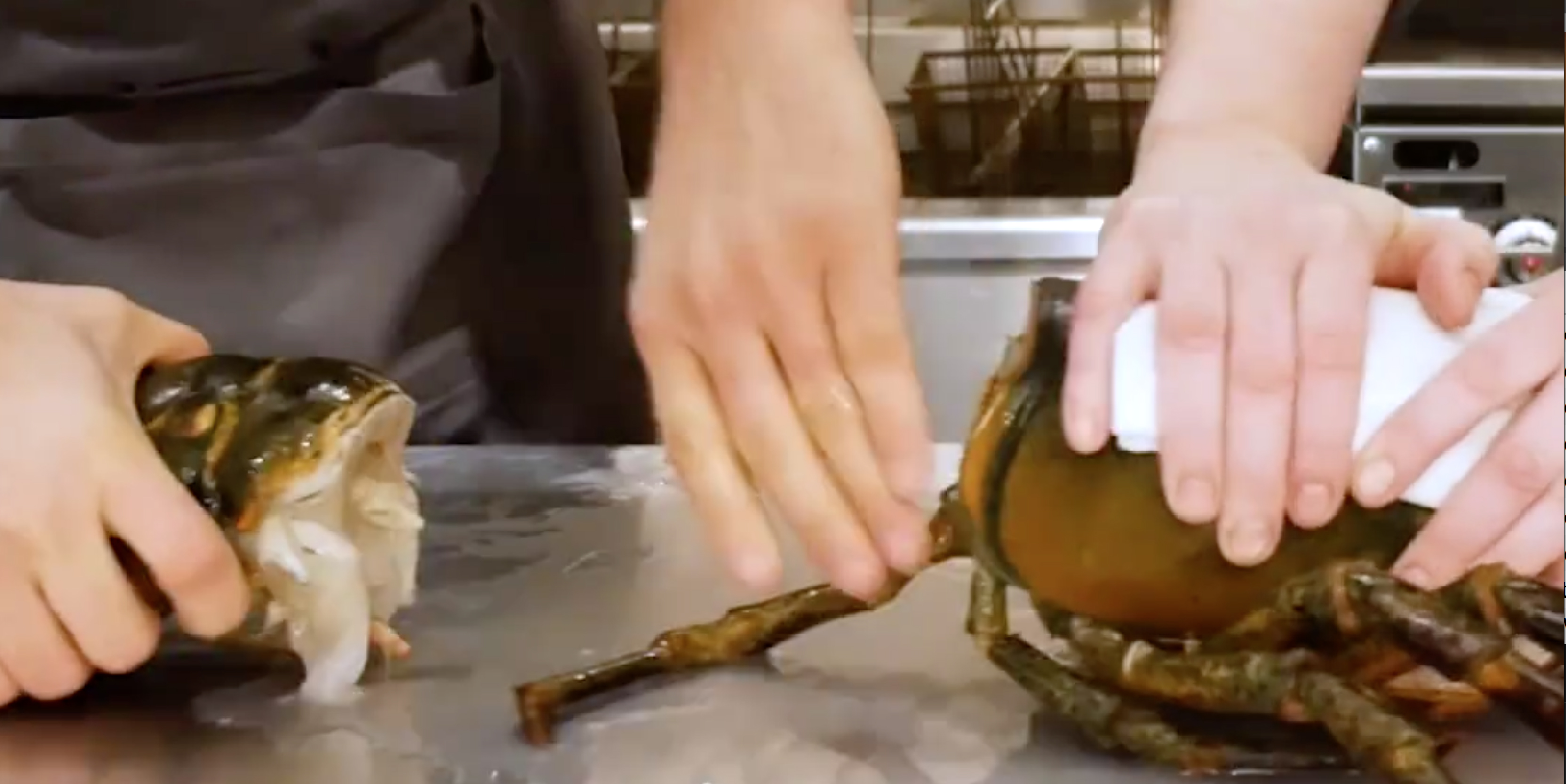 Live Giant Lobster Dismembered on Video at Toronto Restaurant, Animal ...
