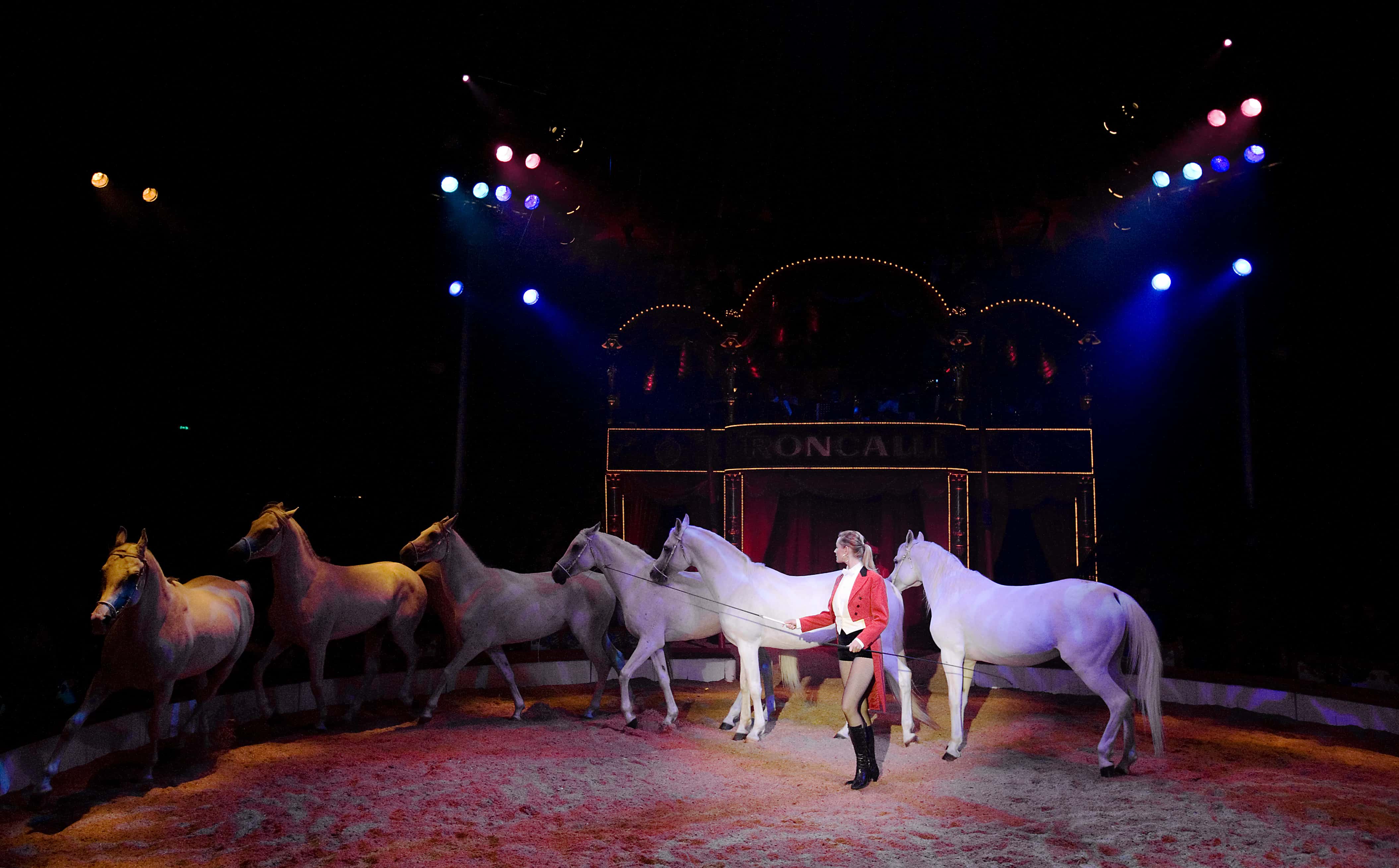 Animal Justice – New PEI Laws Force Circus to Cancel Horse Performances