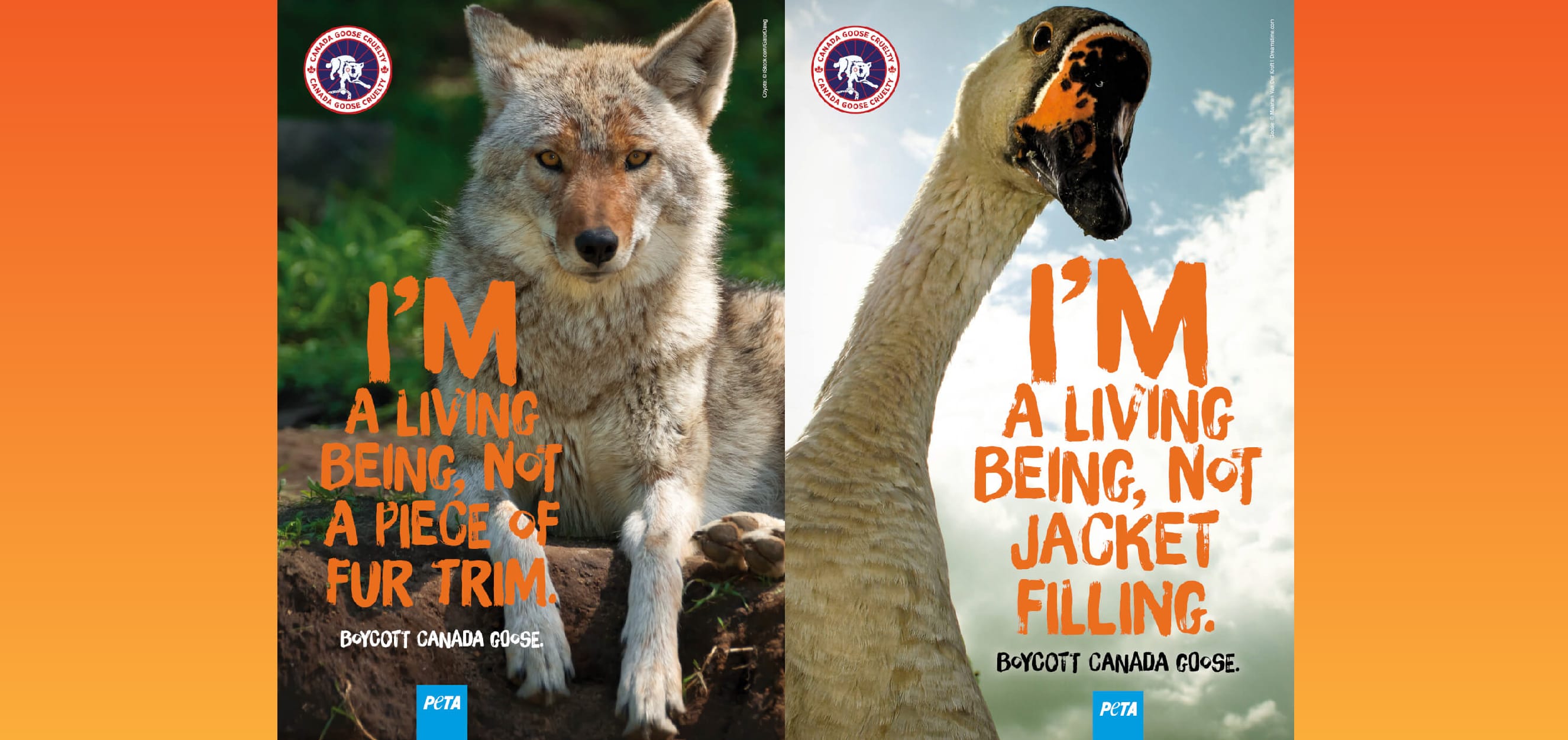 Animal Justice – Animal Justice Going to Court in Lawsuit Challenging ...