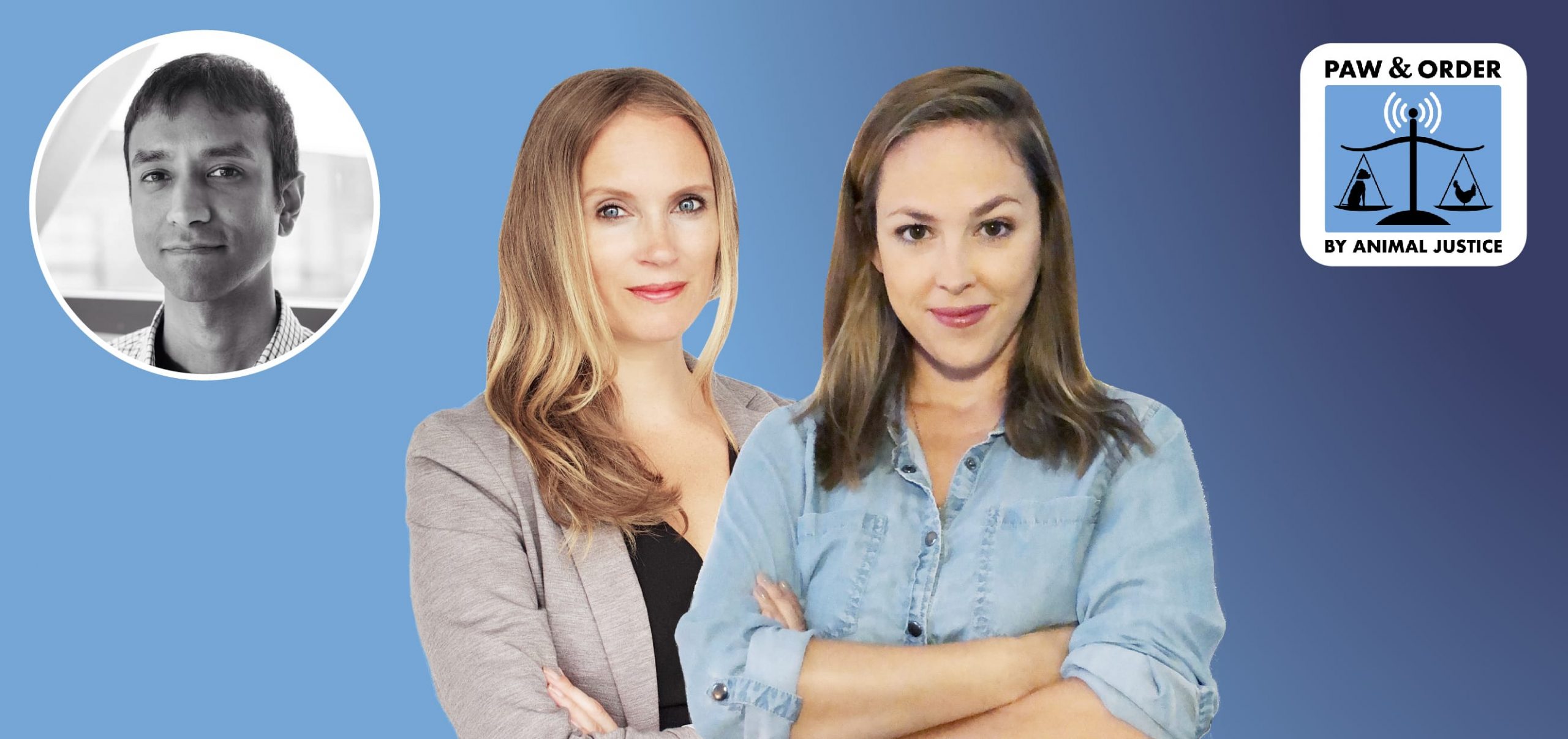 #81: Deceptive “Meatsplaining” With Dr. Jason Hannan - Animal Justice