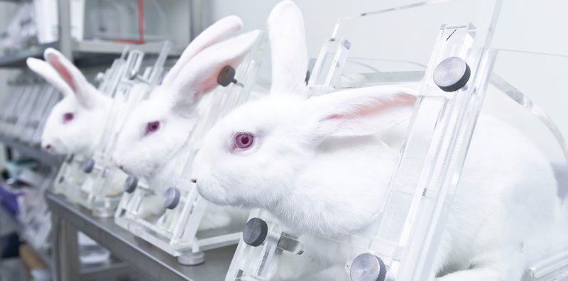 Animal Experiments in Canada - Animal Justice