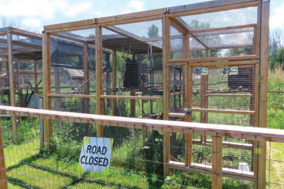 REPORT: Ontario's Roadside Zoo Crisis is a Disaster for Animal Welfare ...