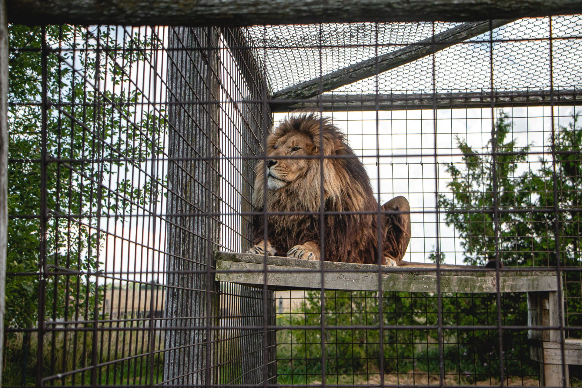 Crisis of Cruelty in Canada’s Zoos - Animal Justice
