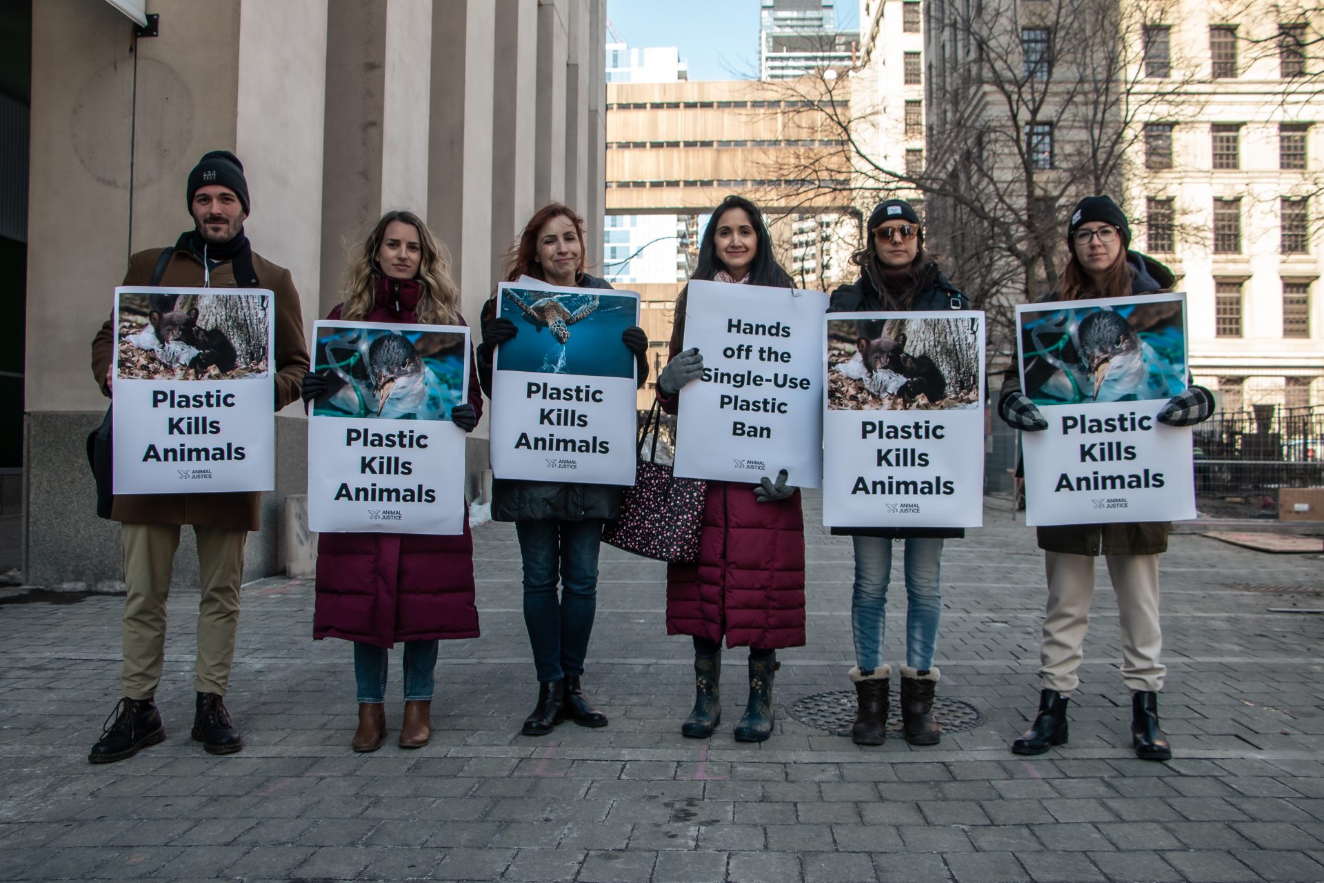 Rally Against Big Plastic: Animal Justice in Court to Protect Single ...