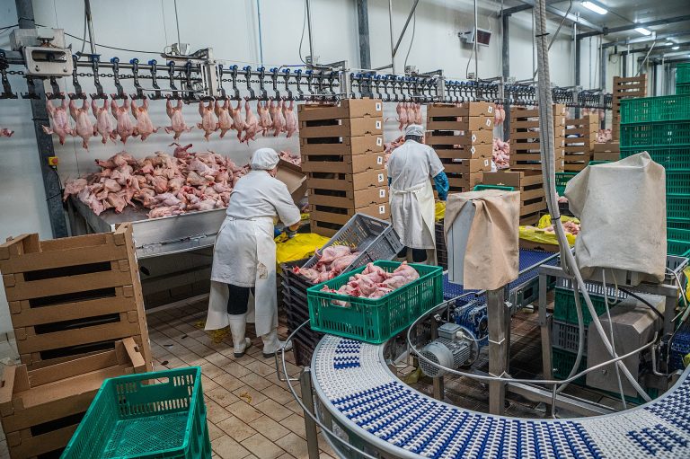 Not Just Red Meat: 5 Reasons Why Chicken Meat Is a Health Risk, Too ...