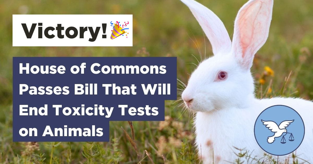 House of Commons Passes Bill That Will End Toxicity Tests on Animals ...