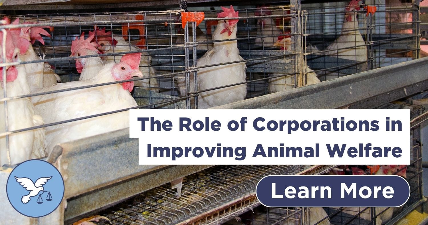 The Role of Corporations in Improving Animal Welfare - Animal Justice