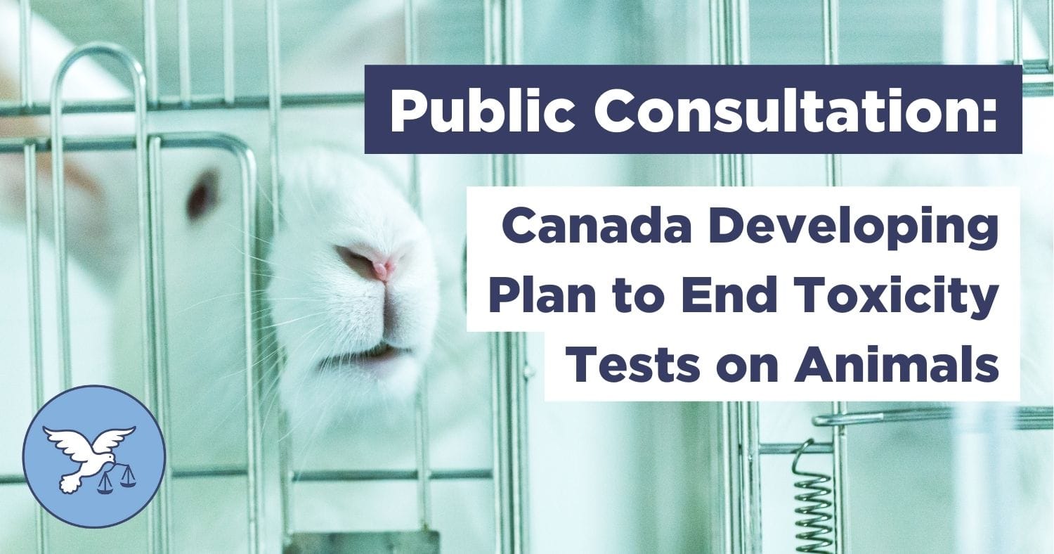 Public Consultation: Canada Developing Plan to End Toxicity Tests on ...