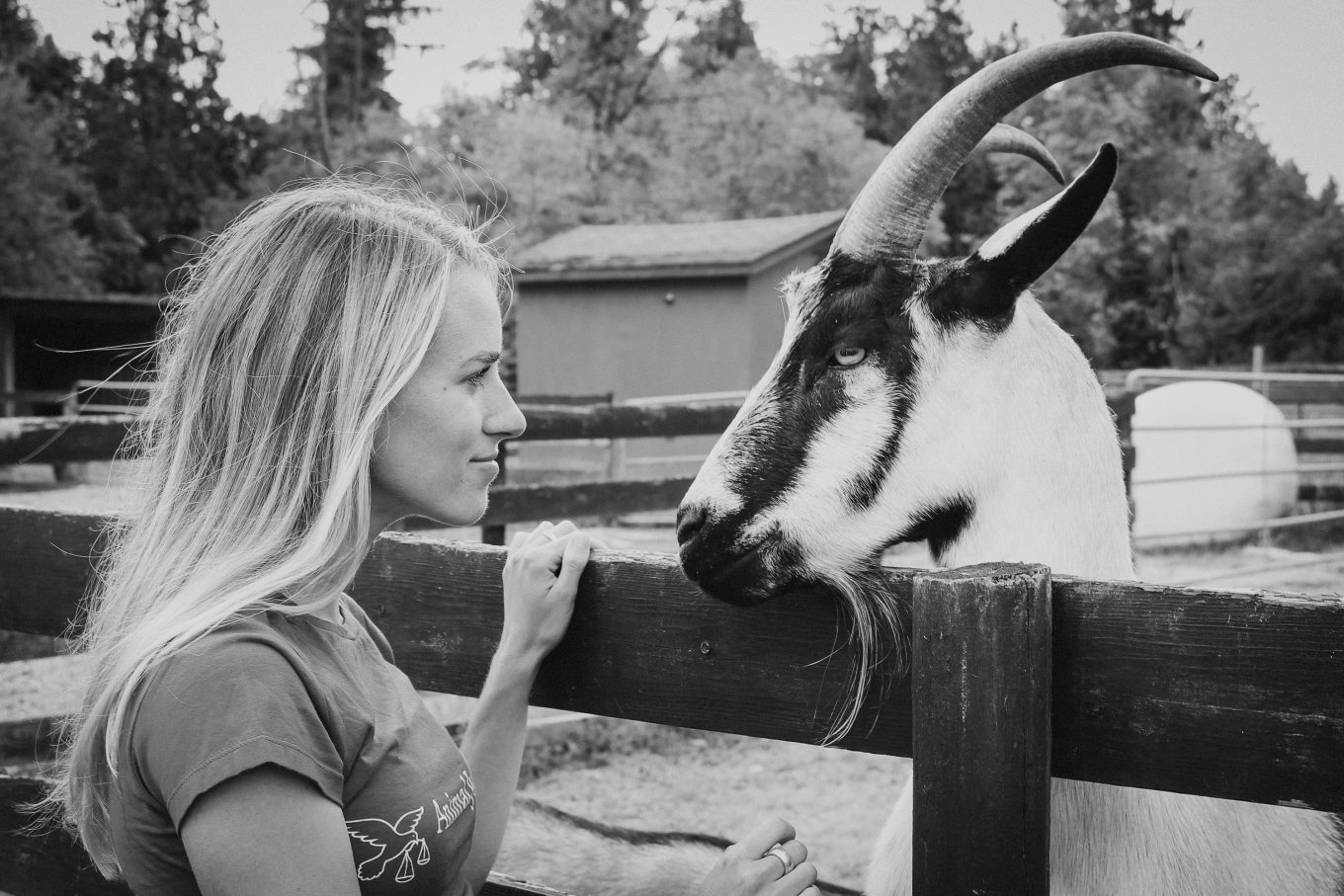 11 Women Animal Lawyers Who Are Changing the Game in 2024 - Animal Justice