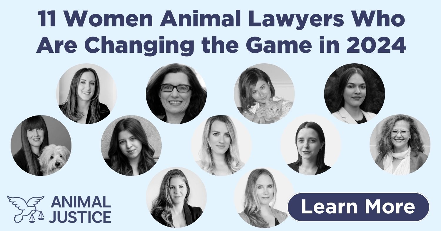 11 Women Animal Lawyers Who Are Changing the Game in 2024 - Animal Justice