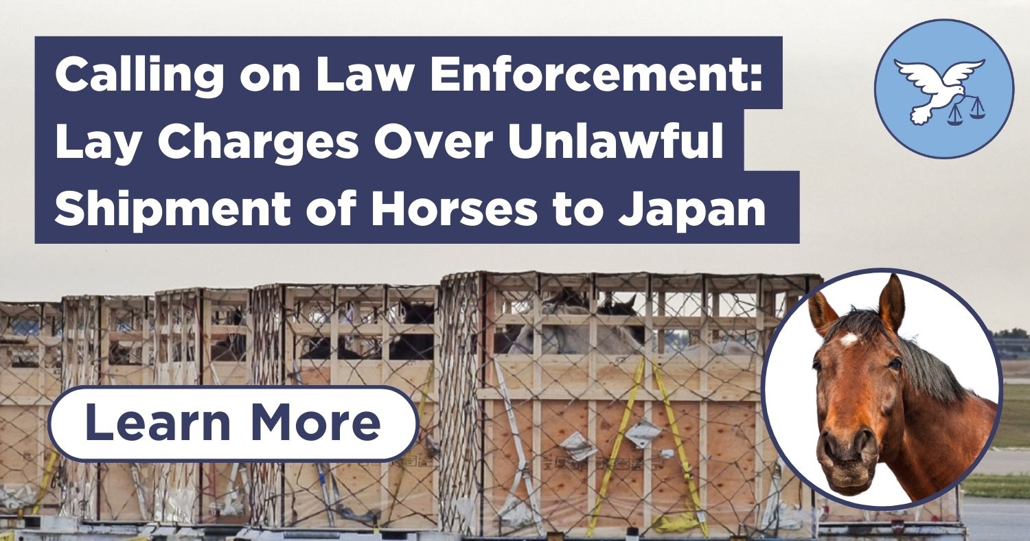 Calling on Law Enforcement: Lay Charges Over Unlawful Shipment of ...