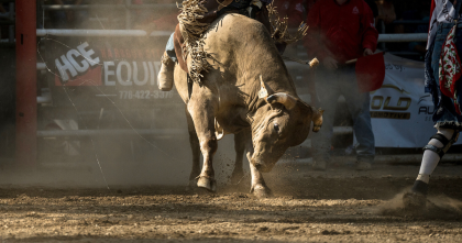 Animal Cruelty Likely at Nova Scotia Rodeo, Says Animal Justice ...