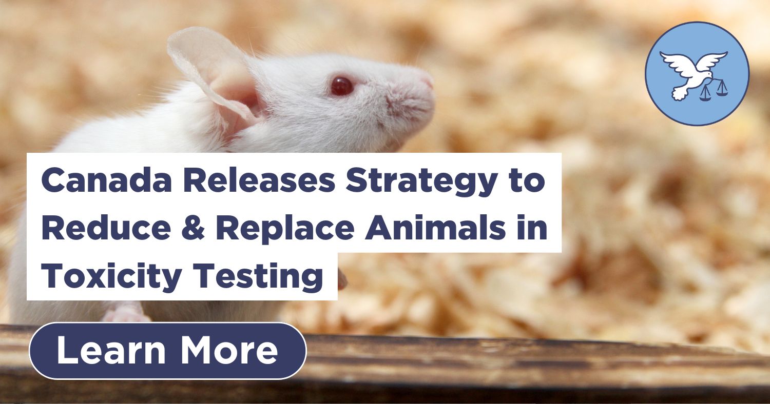 Canada Releases Strategy to Reduce & Replace Animals in Toxicity ...