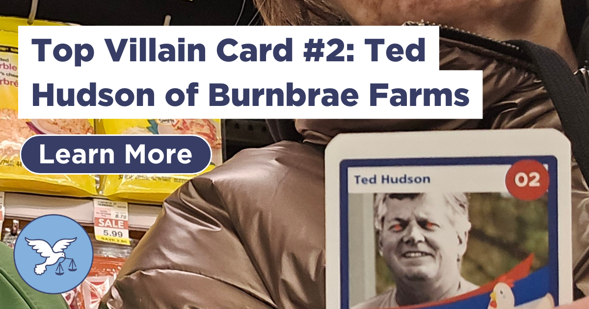 Top Villain Card #2: Ted Hudson of Burnbrae Farms - Animal Justice