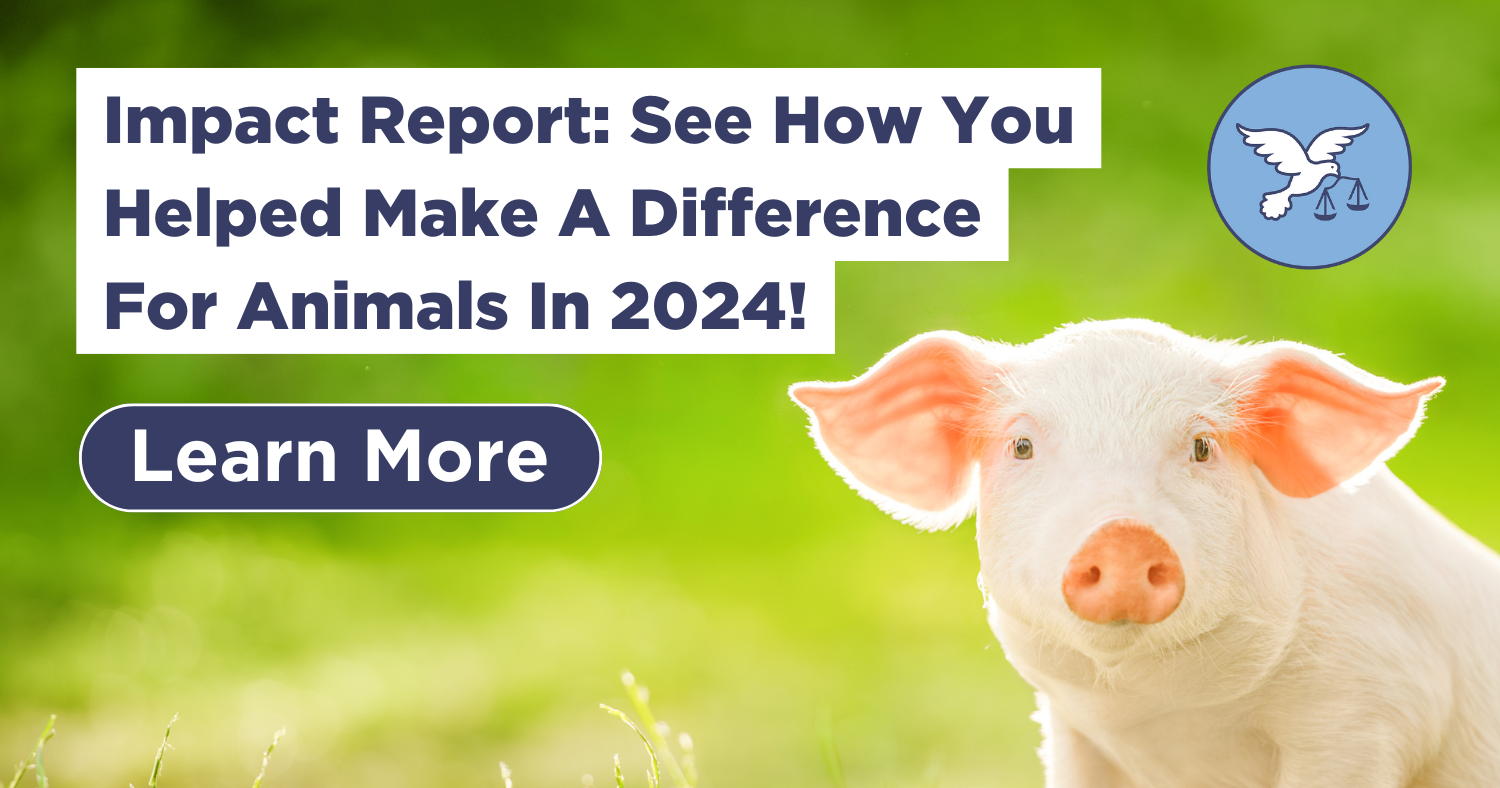 Impact Report: See How You Helped Make A Difference For Animals In 2024 ...