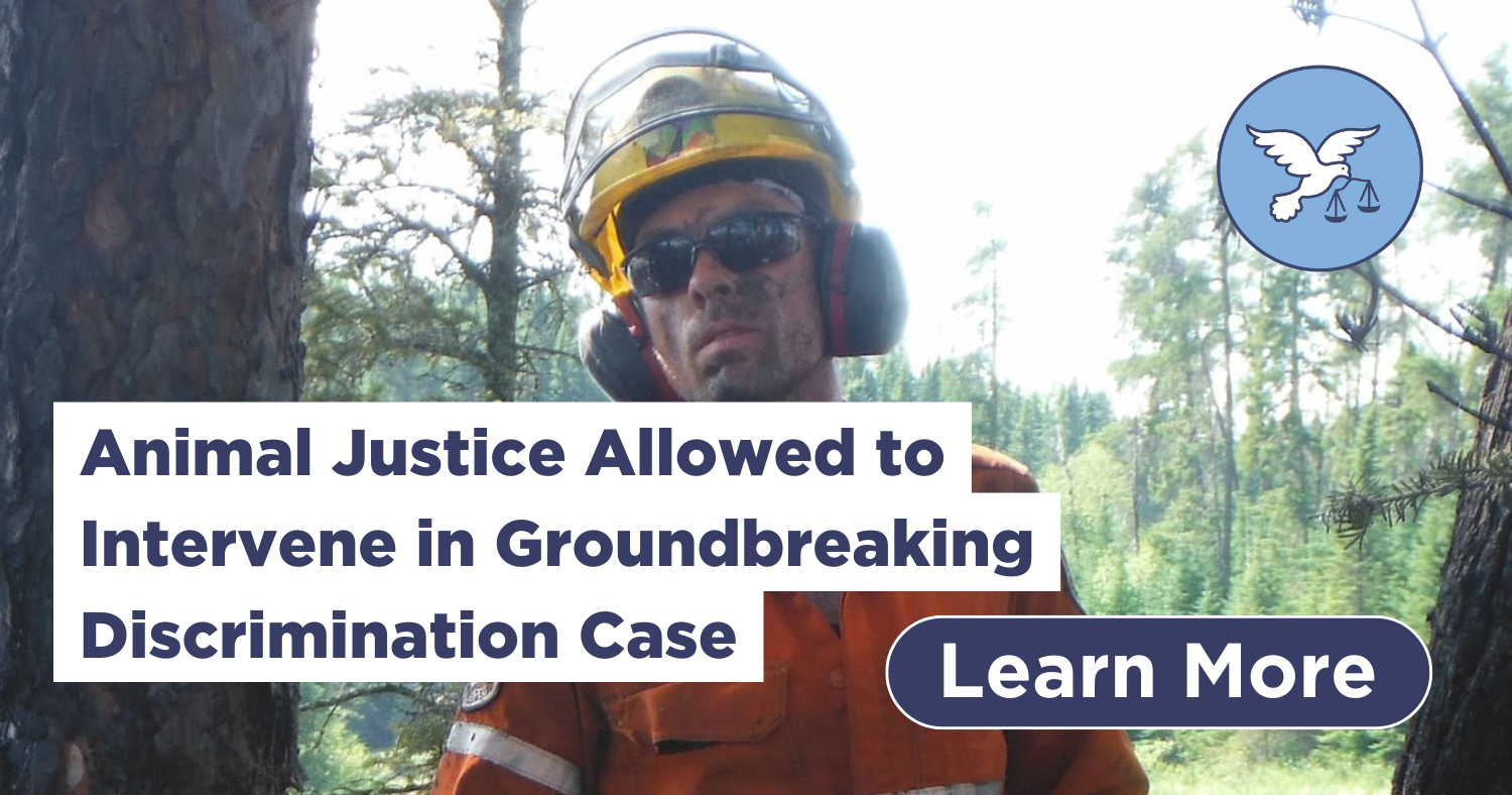 Animal Justice Allowed to Intervene in Groundbreaking Discrimination ...