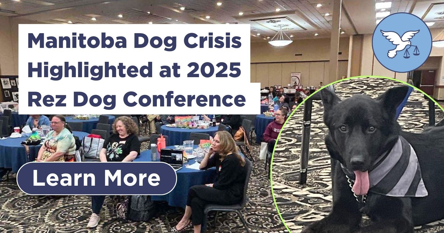 Manitoba Dog Crisis Highlighted at 2025 Rez Dog Conference - Animal Justice