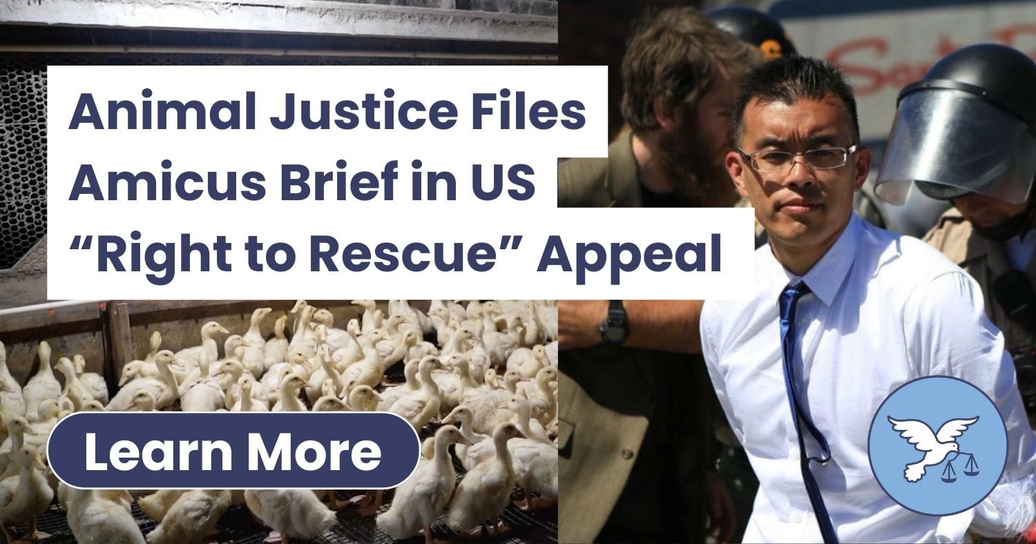 Animal Justice Files Amicus Brief in US “Right to Rescue” Appeal ...
