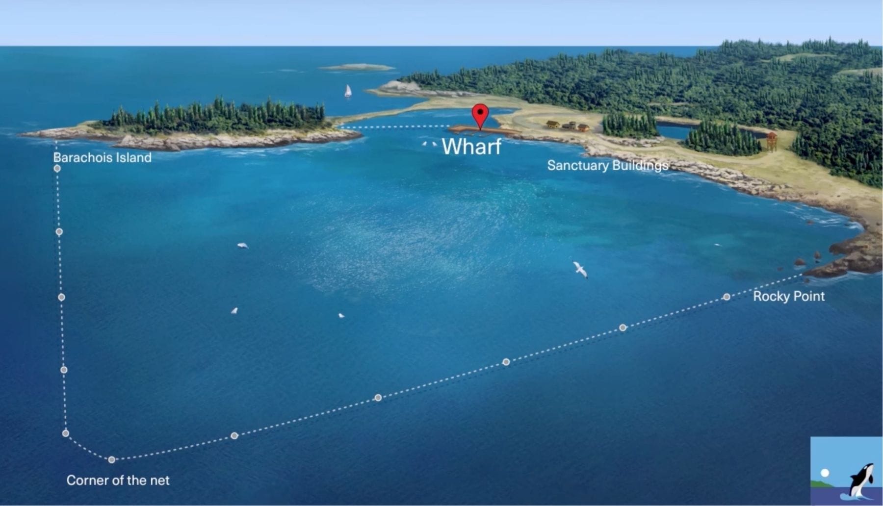 Whale Sanctuary in Nova Scotia: Answers to Common Questions - Animal ...