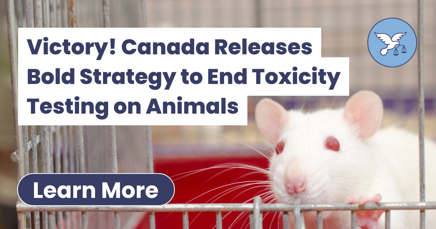 Victory! Canada Releases Bold Strategy to End Toxicity Testing on ...