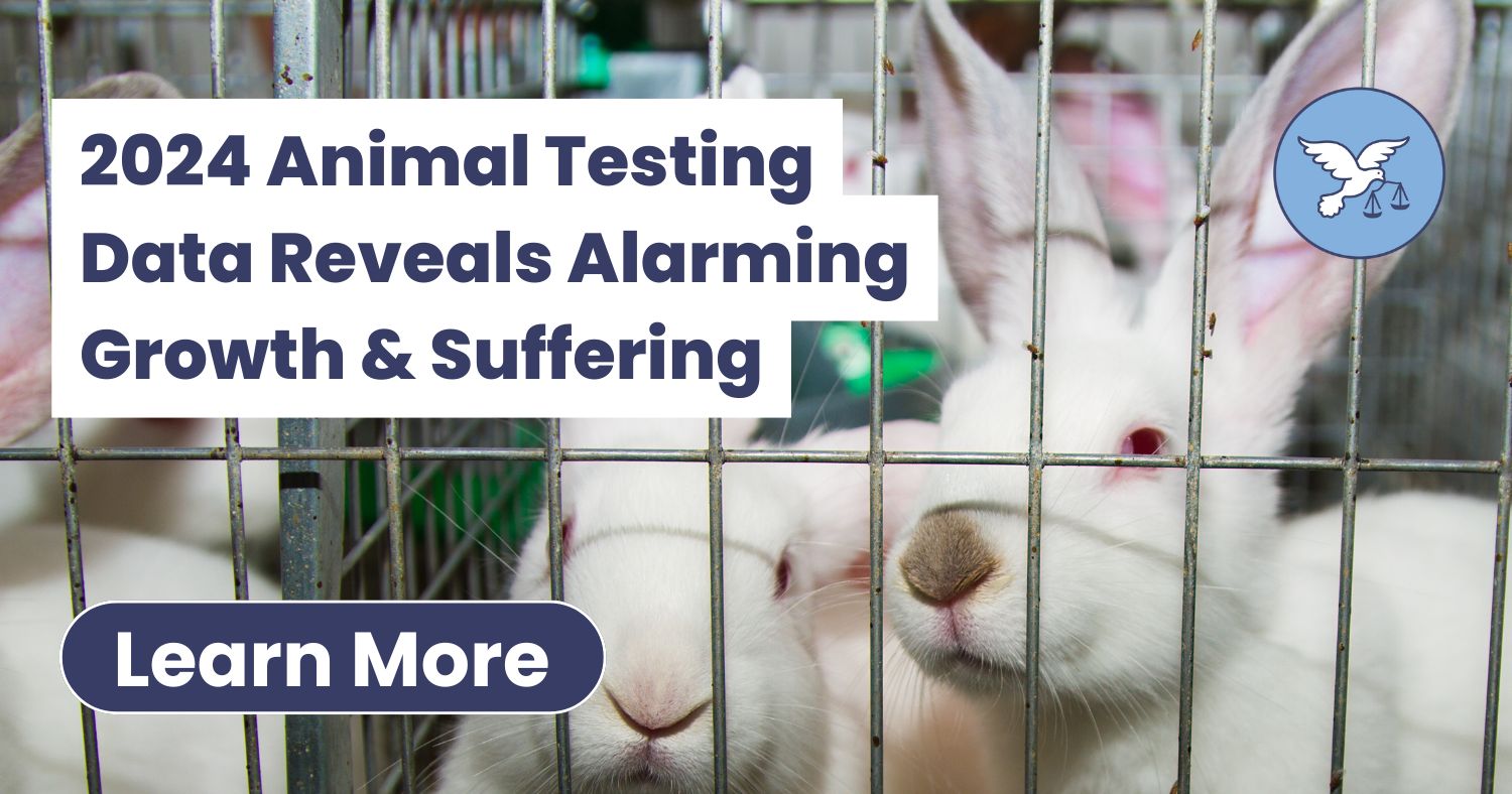 2024 Animal Testing Data Reveals Alarming Growth & Suffering - Animal ...