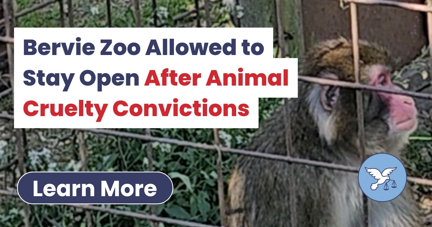 Bervie Zoo Allowed to Stay Open After Animal Cruelty Convictions ...