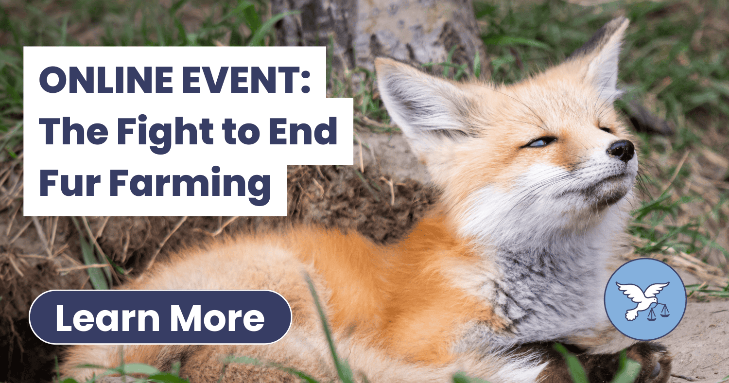 ONLINE EVENT: The Fight to End Fur Farming - Animal Justice