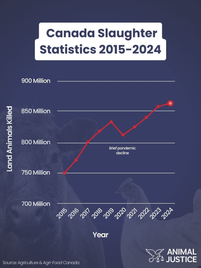 2024 Canadian Slaughter Statistics: Canada Killed 863 Million Land ...