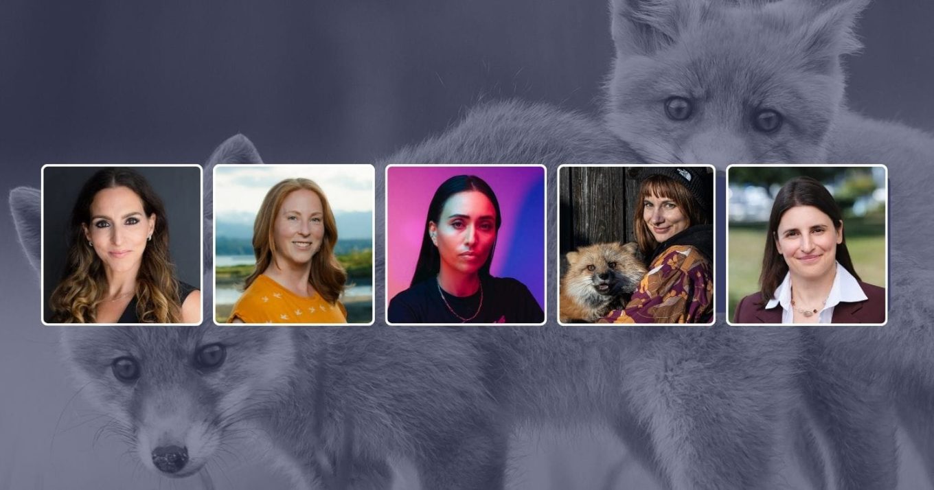 The Fight to End Fur Farming: Event Recap - Animal Justice