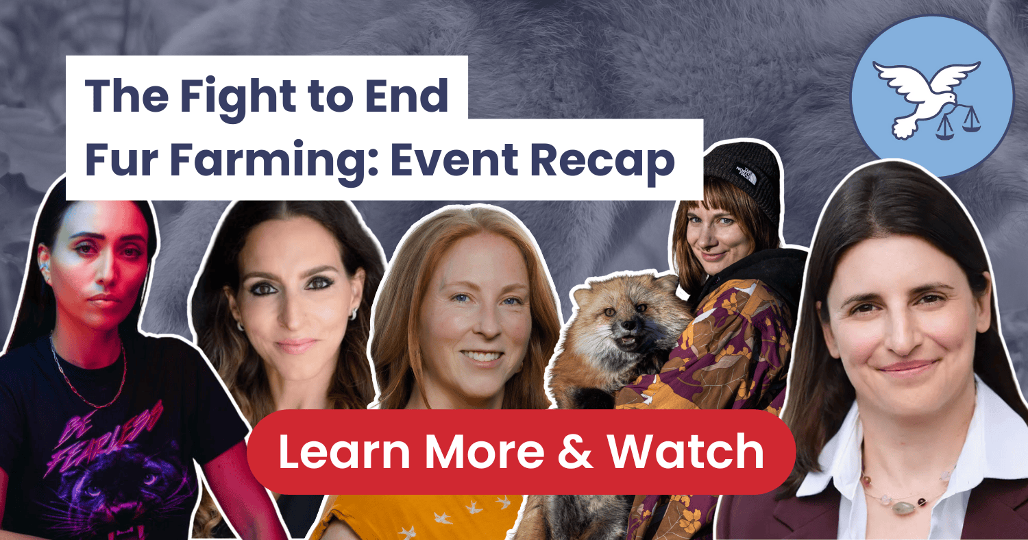 The Fight to End Fur Farming: Event Recap - Animal Justice