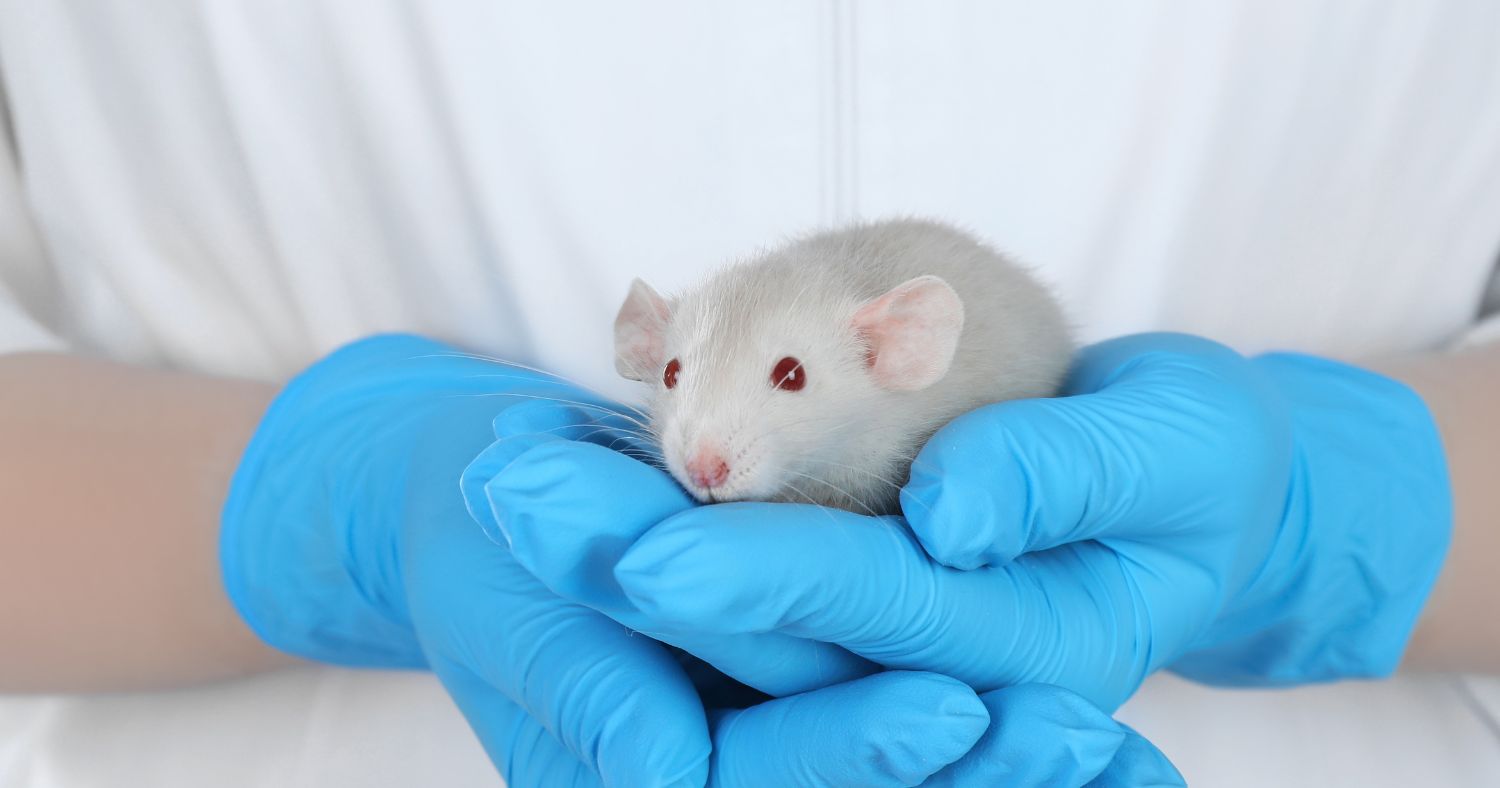 AbbVie Confirms End to Botox Animal Testing - Animal Justice
