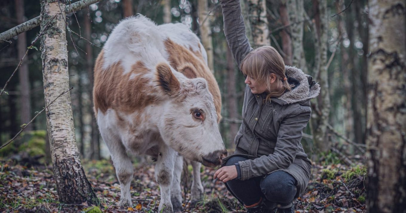 Give Monthly—Join the Compassion Champion Club - Animal Justice