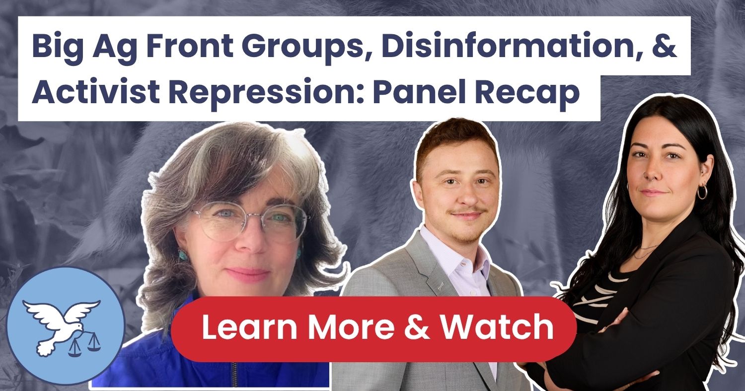 Big Ag Front Groups, Disinformation, & Activist Repression | Panel ...